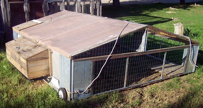 Large, movable tractor? | BackYard Chickens - Learn How to Raise Chickens